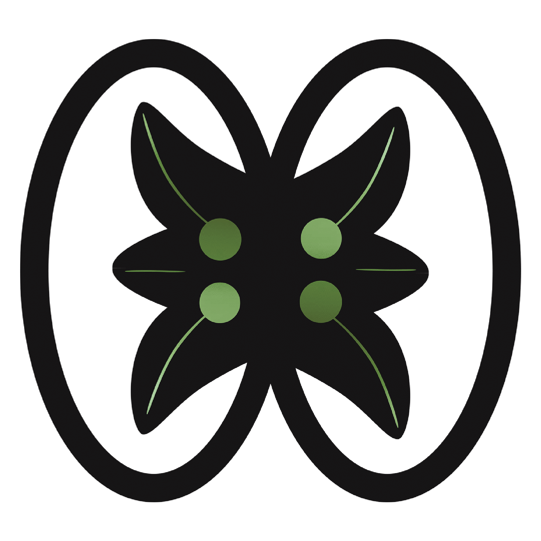 Chilean Que Que with Cinnamon Sugar – Flour & Olive